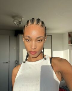 15 Cornrow Styles with Natural Hair Without Extensions – The Clean Style
